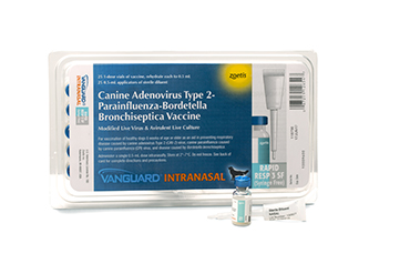 USDA grants Zoetis Vanguard Rapid Resp one-year DOI