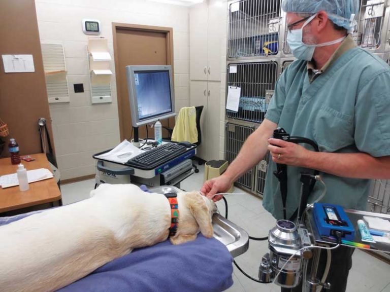 A deeper look into endoscopy