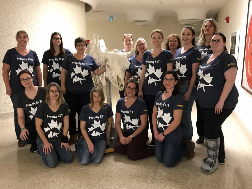 RVTTC designated a WSAVA affiliate member