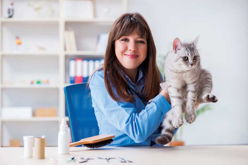 Owning a practice? You? – Veterinary Practice News