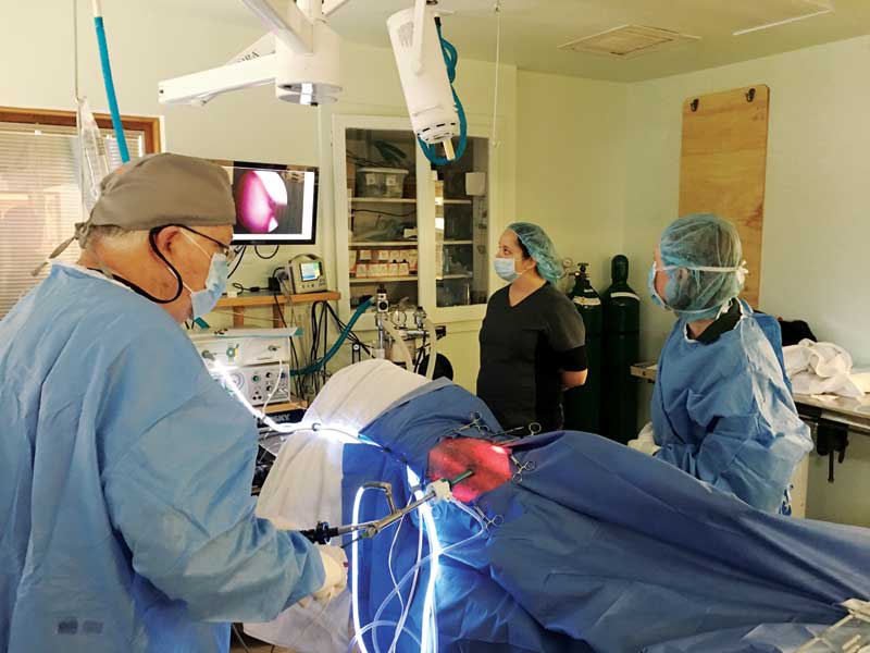 Widening the scope of laparoscopy