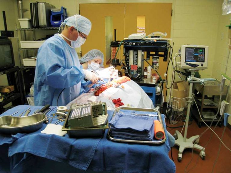 Widening the scope of laparoscopy