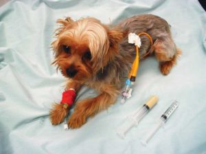 Using feeding tubes in general practice