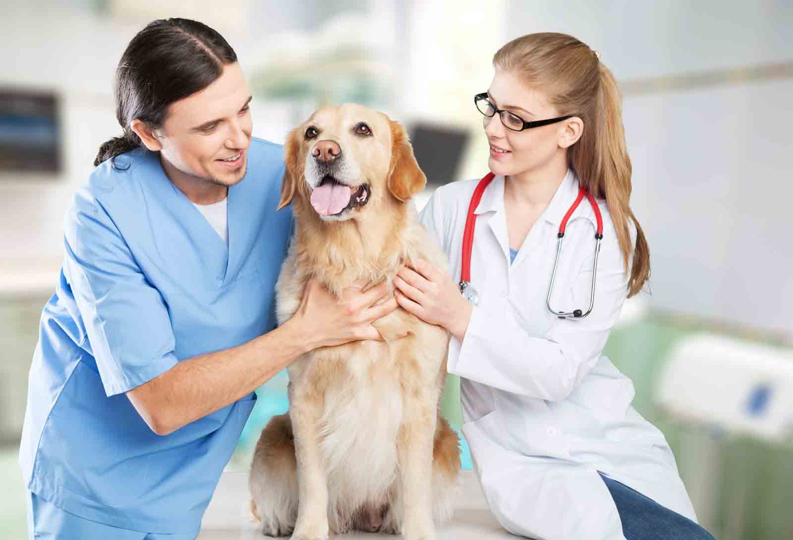 New training initiative to focus on better communication skills