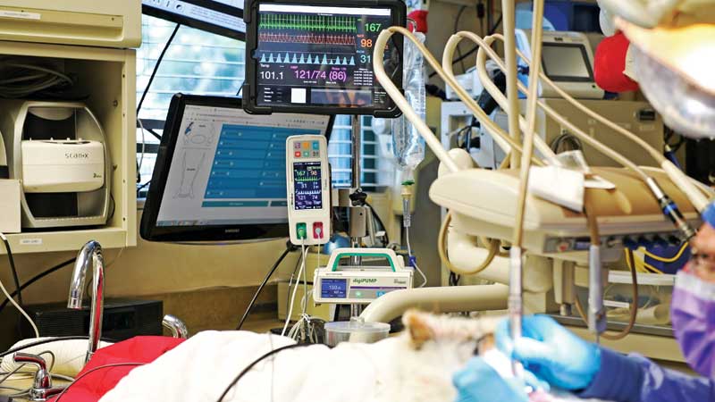 How multiparameter monitoring systems play a role in surgery-related ...