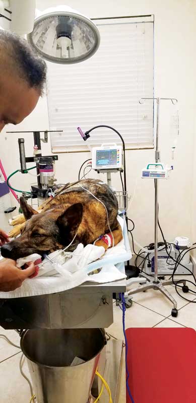 How multiparameter monitoring systems play a role in surgery-related ...