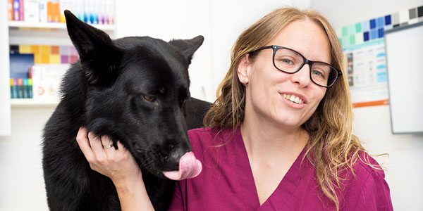 Awards celebrate essential role of RVTs