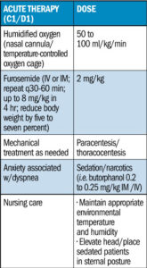A wholehearted approach to treating the cardiac patient