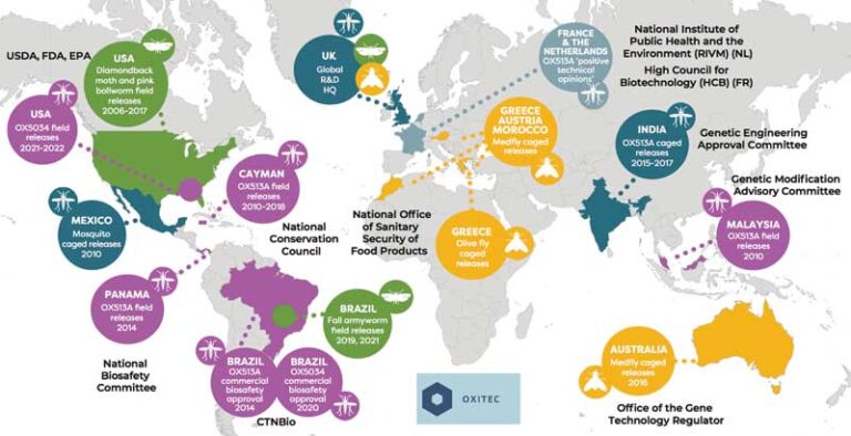 Easing heartworm via ‘Friendly Mosquito’