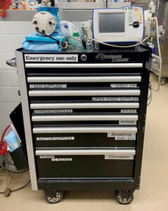 The ABCs of emergency veterinary triage