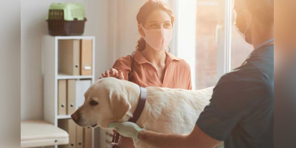 Veterinary Practice News