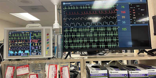 Veterinary Practice News