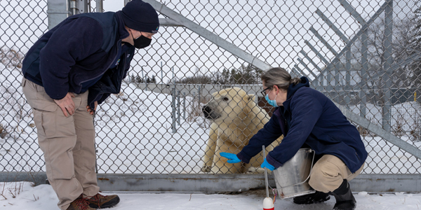 Veterinary Practice News