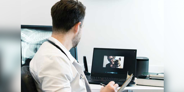 Veterinary Practice News