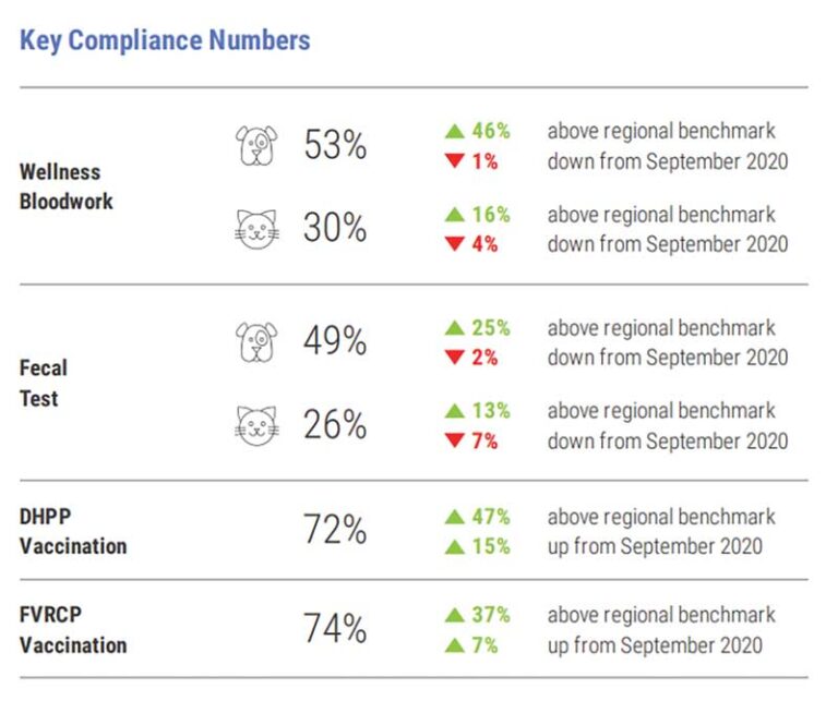 Five metrics veterinary practices should track – Veterinary Practice News