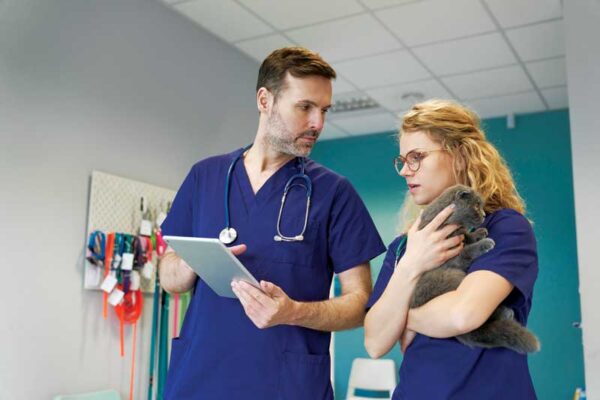 Knowing your limit and working within it – Veterinary Practice News