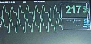 Can you solve this puzzle? – Veterinary Practice News