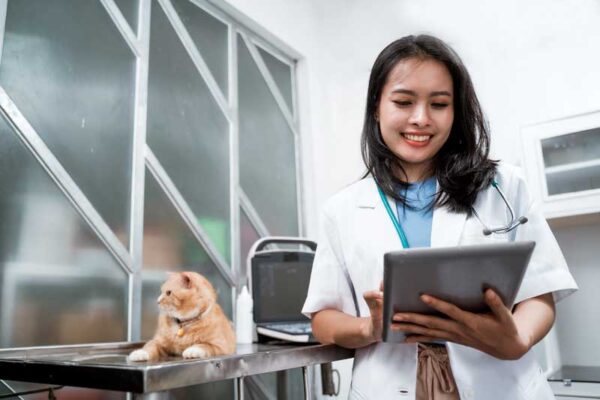 Making the most of 2023 trends – Veterinary Practice News