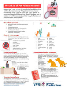 Pet Poison Hazards Infographic