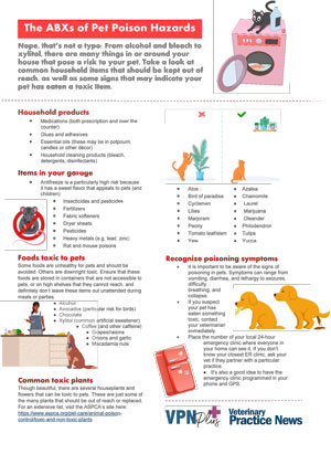 Pet Poison Hazards Infographic