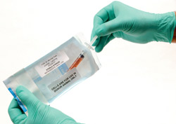 Musculoskeletal Miracles - Veterinary Practice News