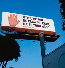 Declaw: Whom Are We Protecting? - Veterinary Practice News