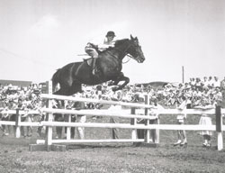 First Woman Equine Veterinarian Reflects On Her Career - Veterinary ...