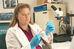 Animal Forensic Lab Solves Human Cases - Veterinary Practice News