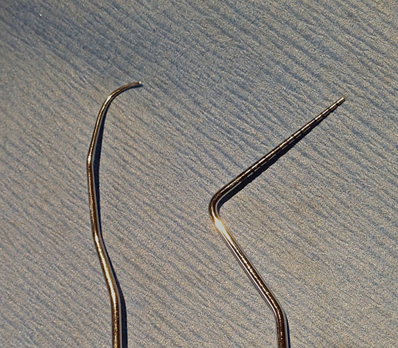 The Anesthetized Intraoral Examination - Veterinary Practice News