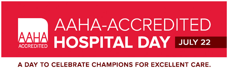 AAHA hospitals to celebrate accreditation - Veterinary Practice News