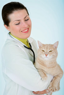 Veterinary Social Work Summit? - Veterinary Practice News