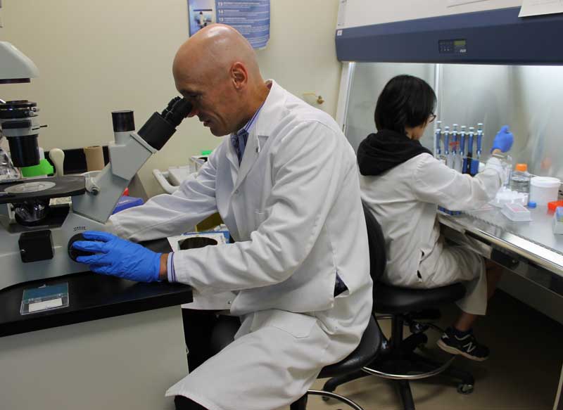 Avivagen Explores Possible Breakthrough in Female Sterilization ...