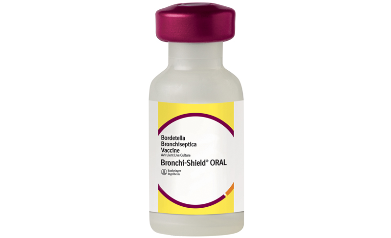 BIVI's Bordetella vaccine tops 17 million doses - Veterinary Practice News