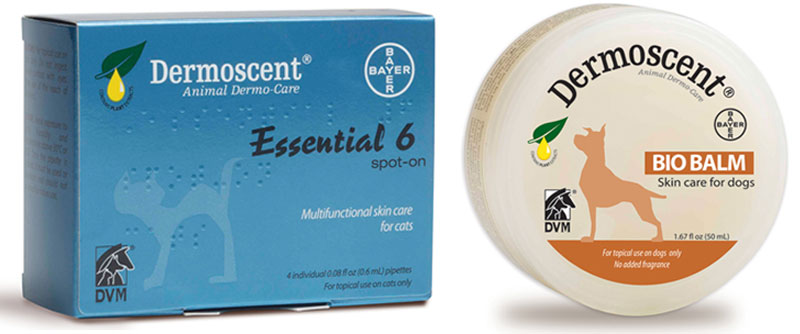Bayer Adds Vet-only Dermoscent Skin Products - Veterinary Practice News