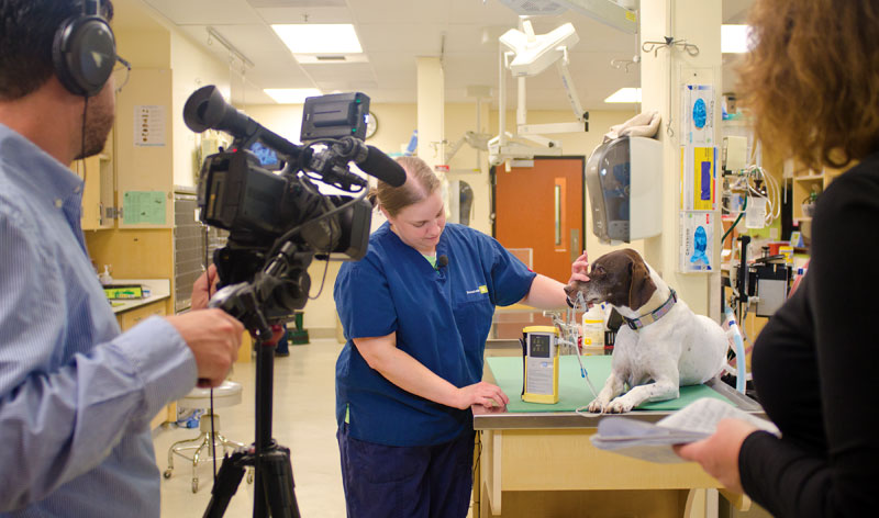 DoveLewis, Vetstream Vow to Make a World of Difference - Veterinary ...