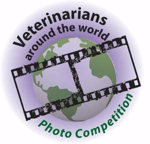 KSU launches vet photo competition - Veterinary Practice News Canada