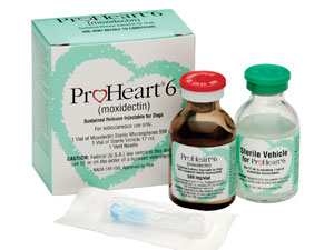 Fewer Limits Placed On ProHeart 6 Heartworm Drug - Veterinary Practice News