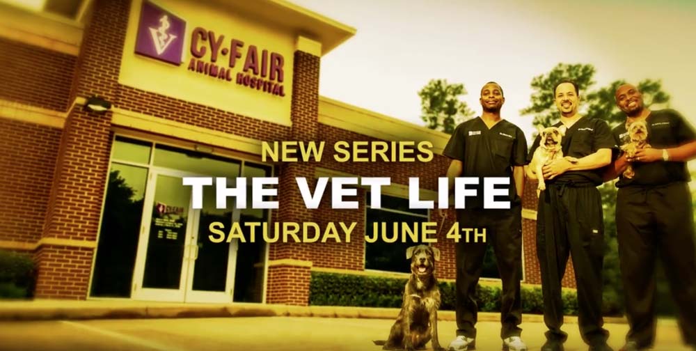 'The Vet Life' premieres June 4 - Veterinary Practice News