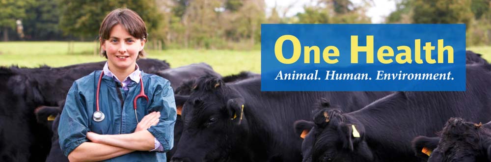 USDA launches One Health web portal - Veterinary Practice News