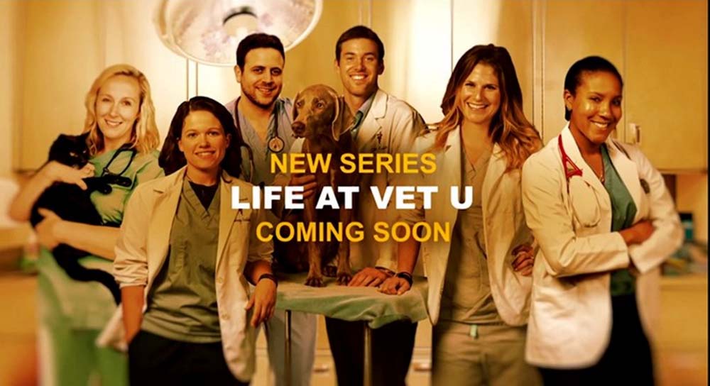 'Life at Vet U' trailer is here! - Veterinary Practice News