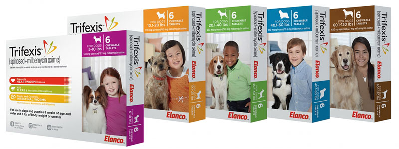 Elanco, FDA Say Trifexis Played No Role in Dog Deaths - Veterinary ...