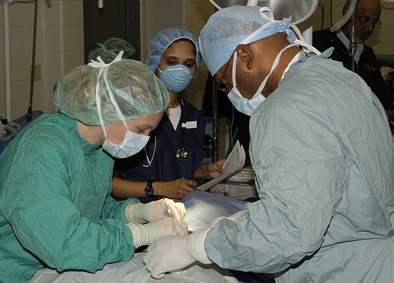 Tuskegee Joins VMCAS Clearinghouse - Veterinary Practice News