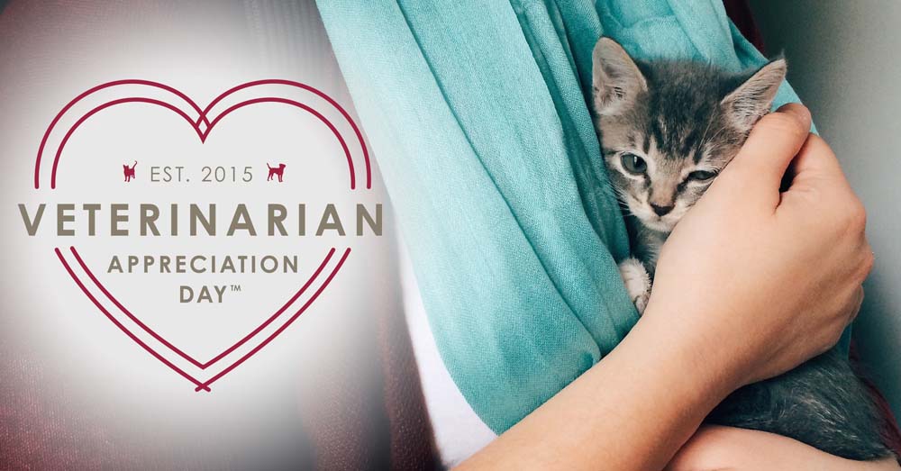 Pet owners called on to celebrate 2nd annual Veterinarian Appreciation ...