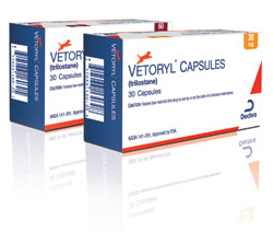 Dechra’s Vetoryl Receives FDA Approval - Veterinary Practice News