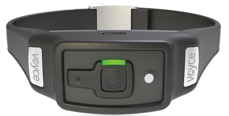 Patterson Adds Voyce Pro to Veterinary Catalog - Veterinary Practice News