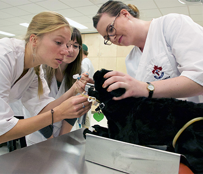 Saskatchewan vet college gets new learning center - Veterinary Practice ...