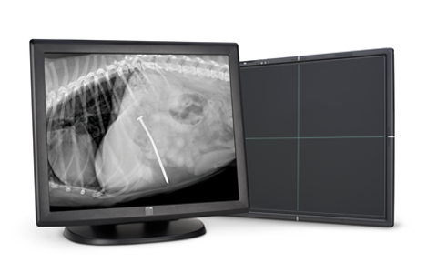 IDEXX launches low-dose radiography system - Veterinary Practice News ...