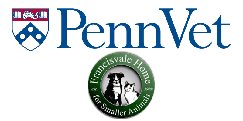 Penn Vet to Begin Internship Program at Local Shelter - Veterinary ...