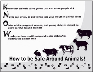 Public Health Vets Release Guidelines To Prevent Zoonoses - Veterinary ...