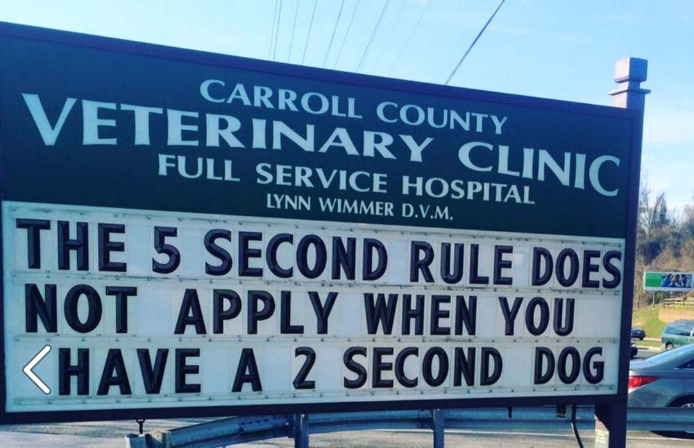These Veterinary Practice Signs Will Leave You Loling - Veterinary ...